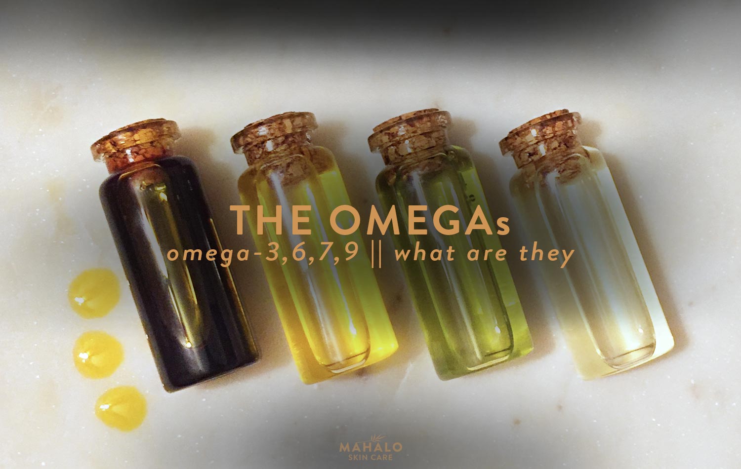 Omega Fatty Acids - what are they